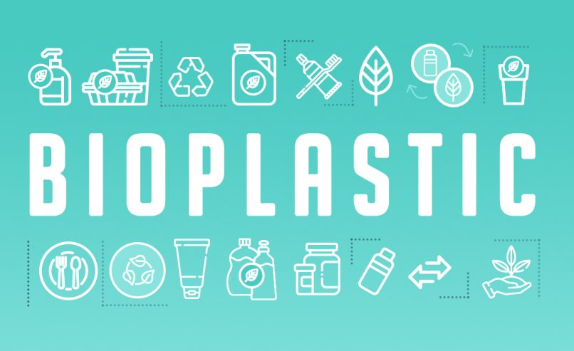 Bioplastica: la plastica non plastica che rispetta l'ambiente. [That's ...